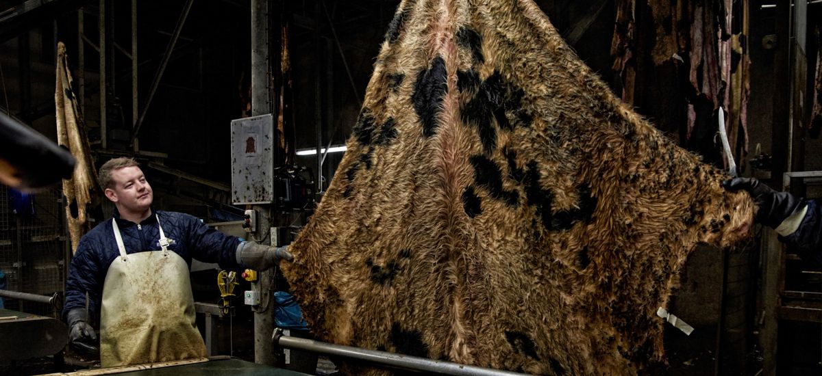 Our story - Scan-Hide